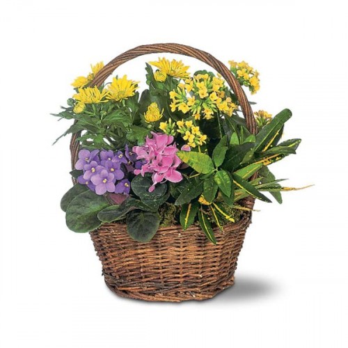 Small European Basket (Teleflora® - TF127-2) by FlowersEzGo.com™