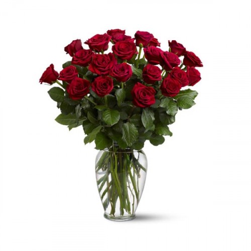 Two Dozen Red Roses (Teleflora® - TF31-2) by FlowersEzGo.com™
