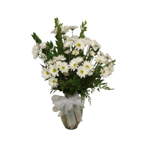 White Daisy arrangement (WFN® - WFN10062) by FlowersEzGo.com™